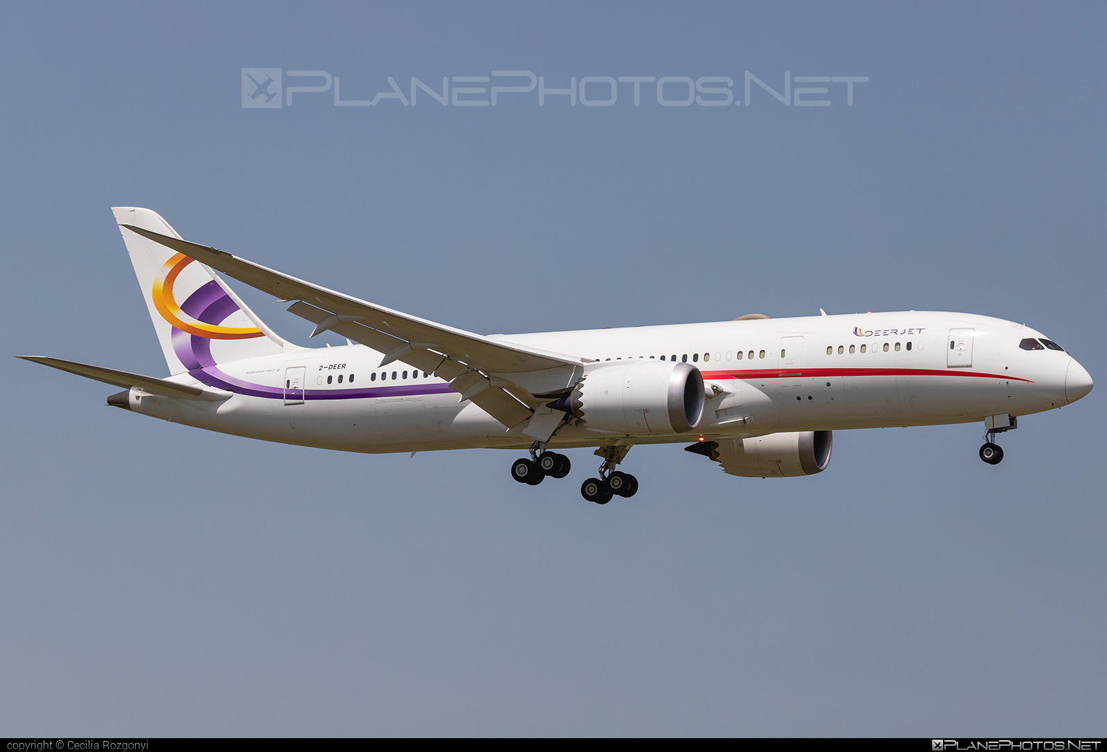 2-DEER - Boeing 787-8 Dreamliner operated by Deer Jet taken by Cecilia ...