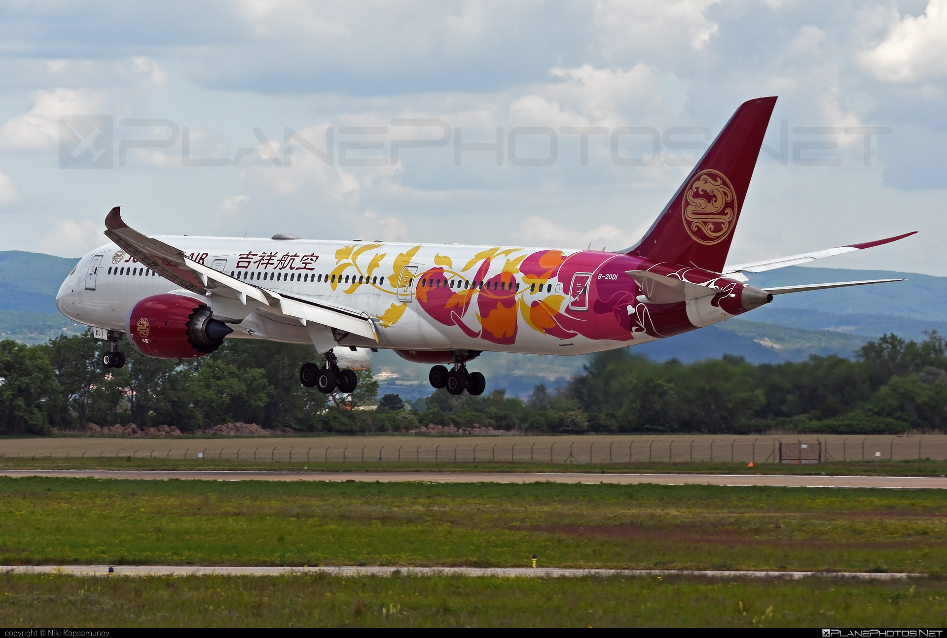 22942_Boeing-787-9-Dreamliner_B-20D1.jpg