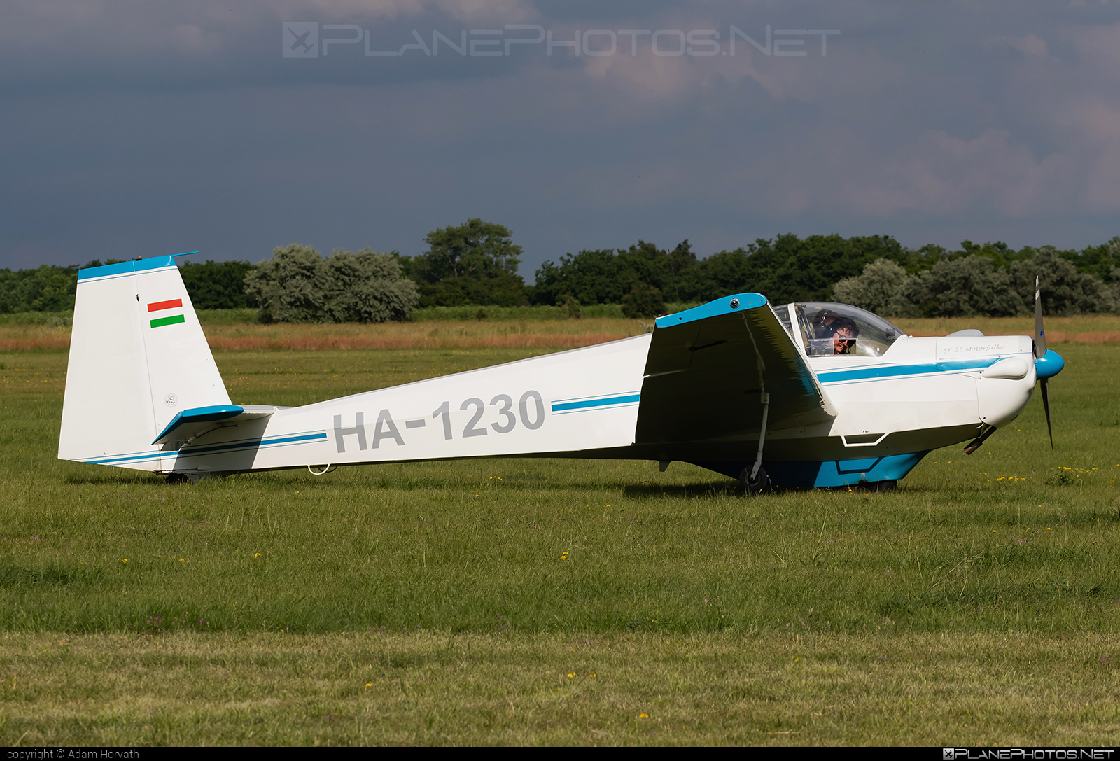 HA-1230 - Scheibe SF-25C Falke operated by Private operator taken by ...